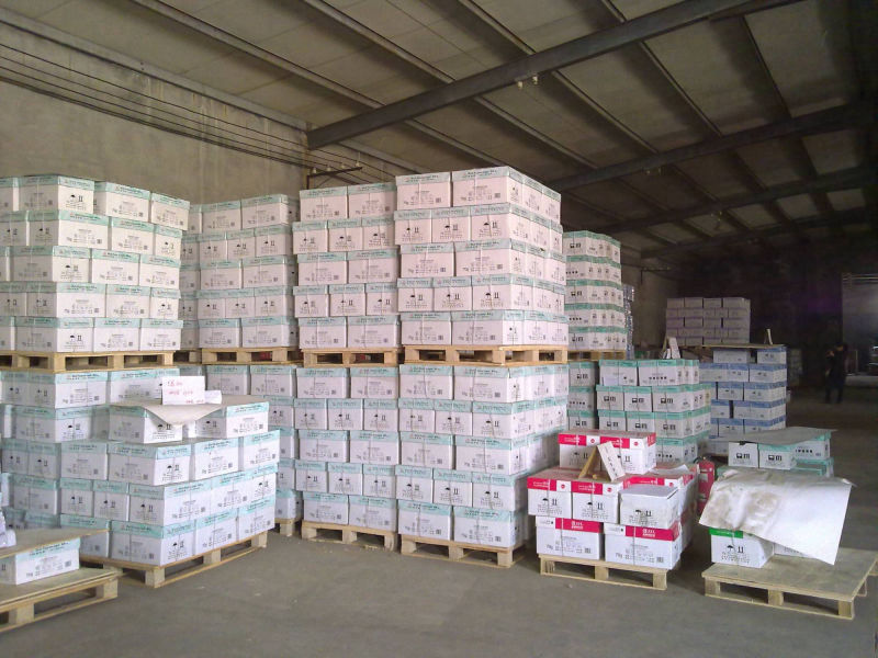 Premium Paper Solutions - Your Office Paper Specialists
